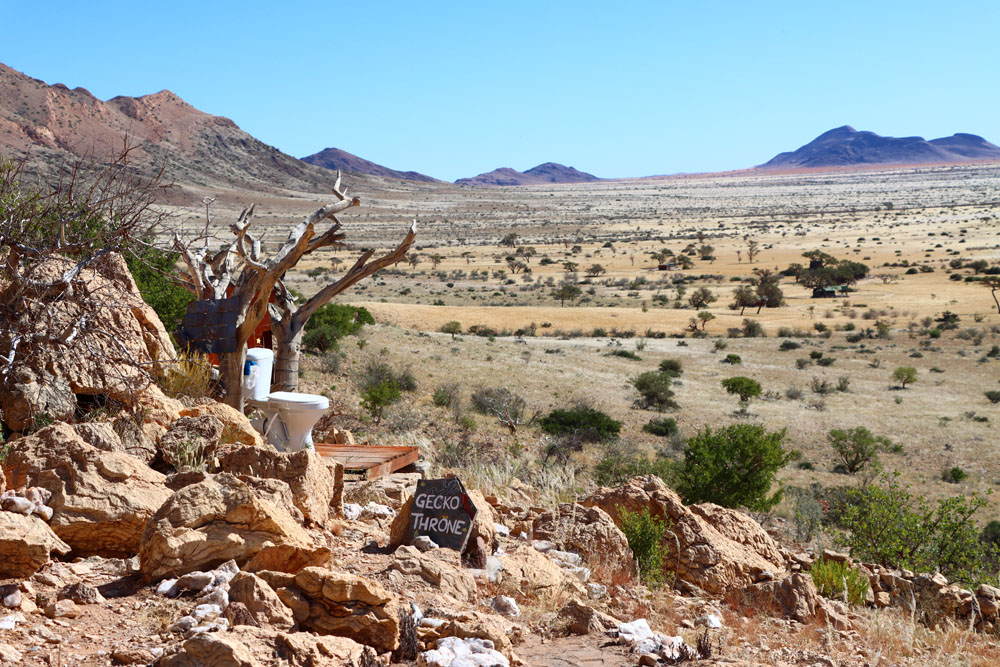 Moonlight Campsite | Camp Gecko